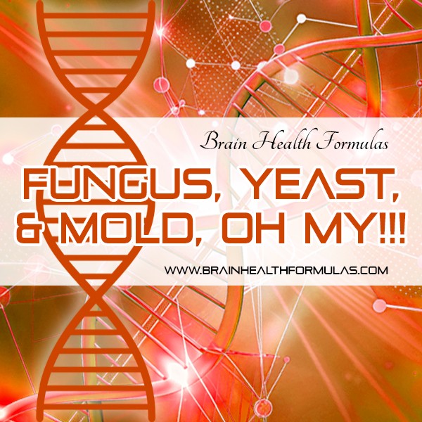 Fungus, Yeast, and Mold Oh My!!!! - Brain Health Formulas Bio-Technologies
